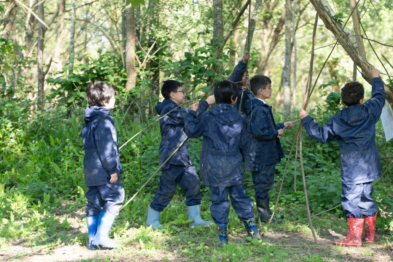 News from the Prep | Merchant Taylors' Prep School